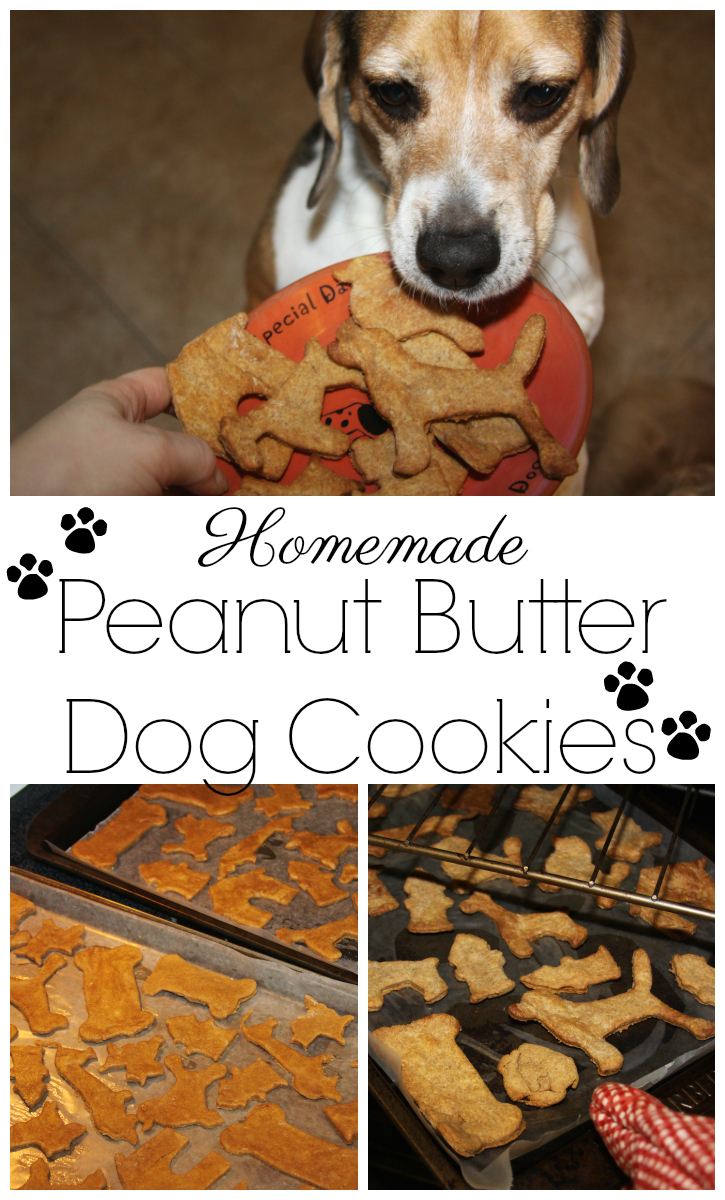 Homemade Peanut Butter Dog Cookies - For the Love of Food