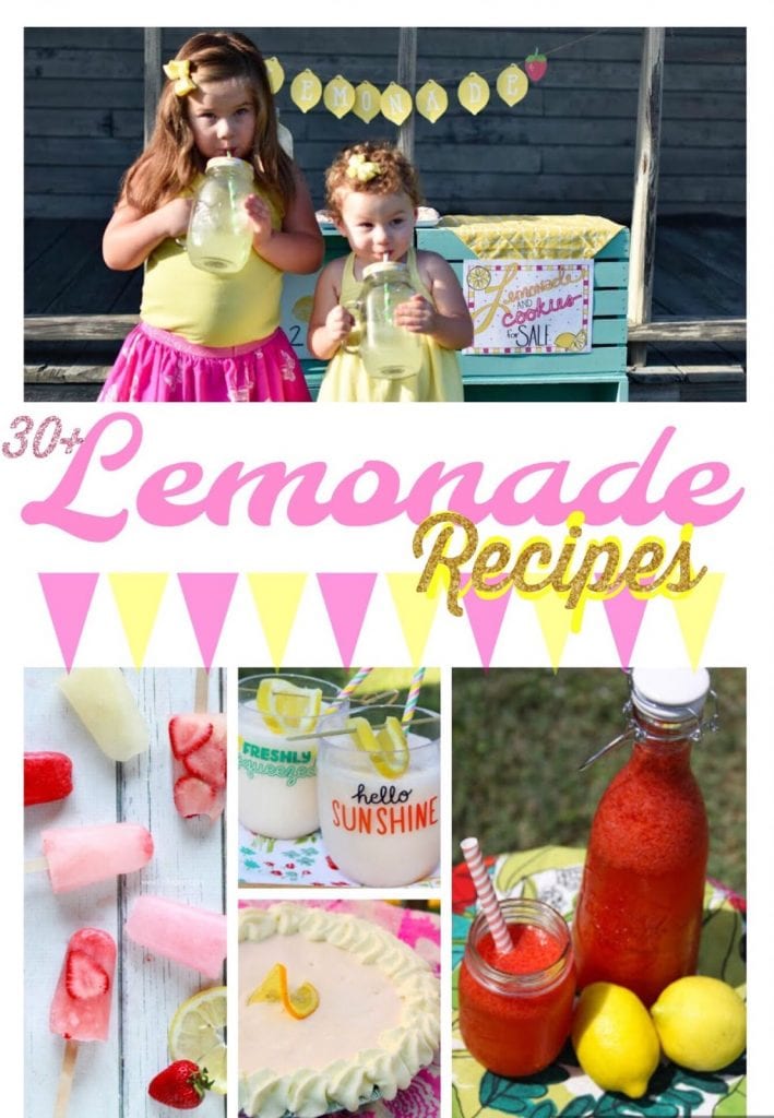 30+ Lemonade Recipes for Summertime - For the Love of Food