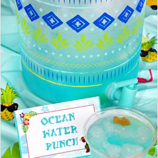 Summertime Ocean Water Punch - For the Love of Food