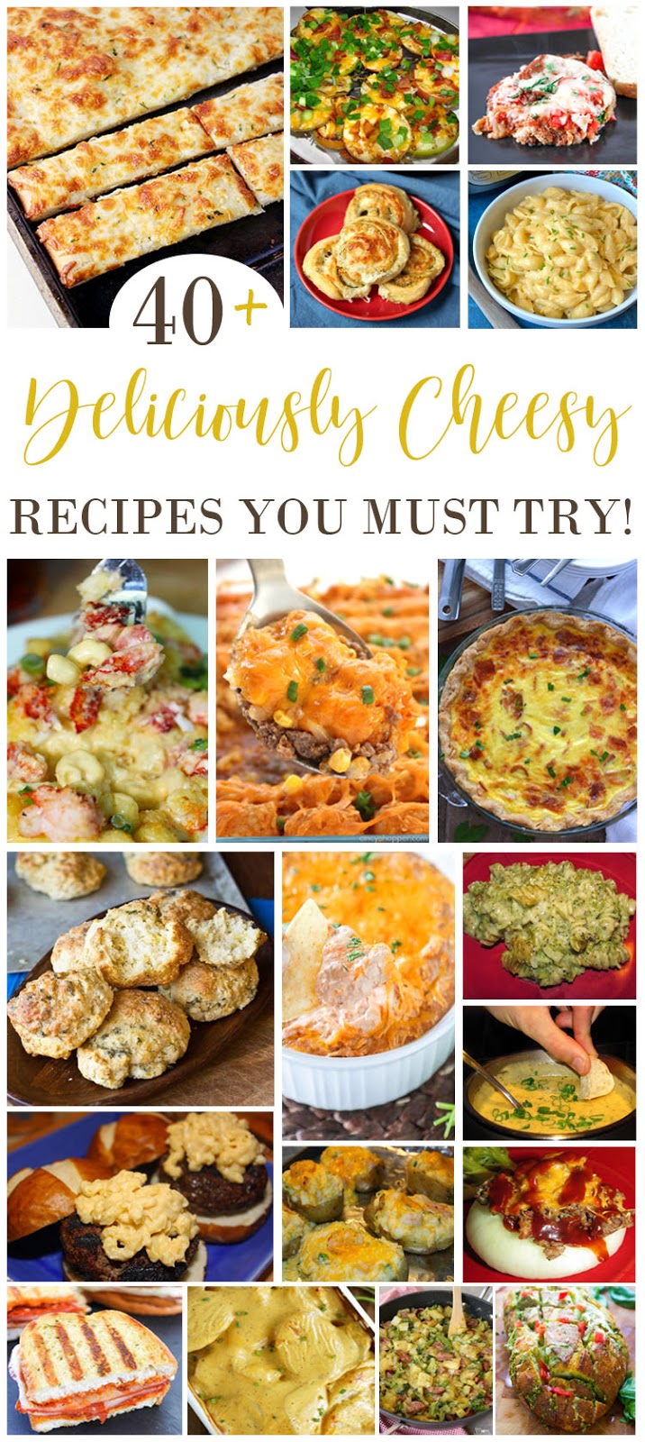 40+ Deliciously Cheesy Recipes You Must Try! - For the Love of Food