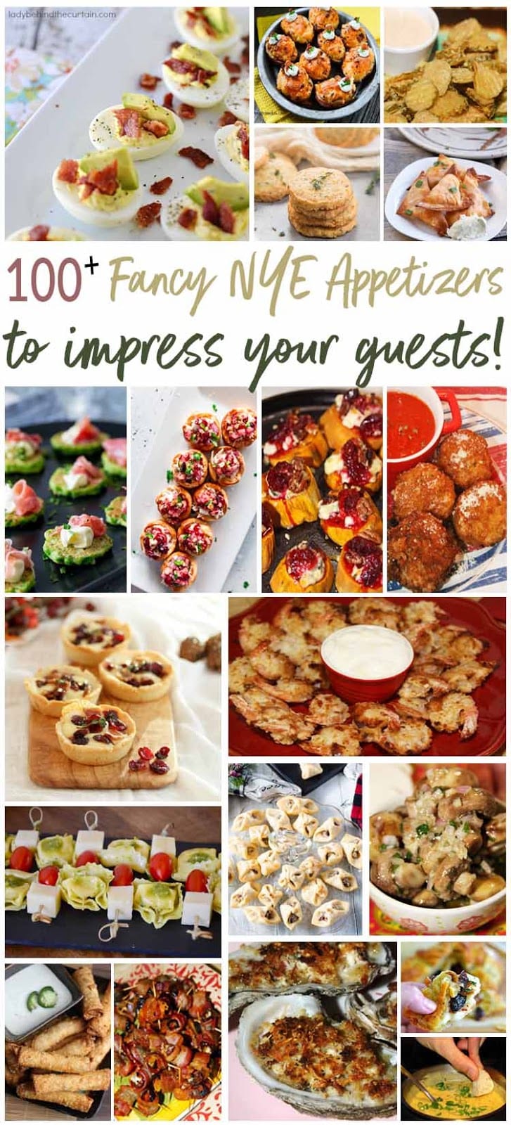 100+ Fancy New Year's Eve Appetizers to Impress Your Guests - For the ...