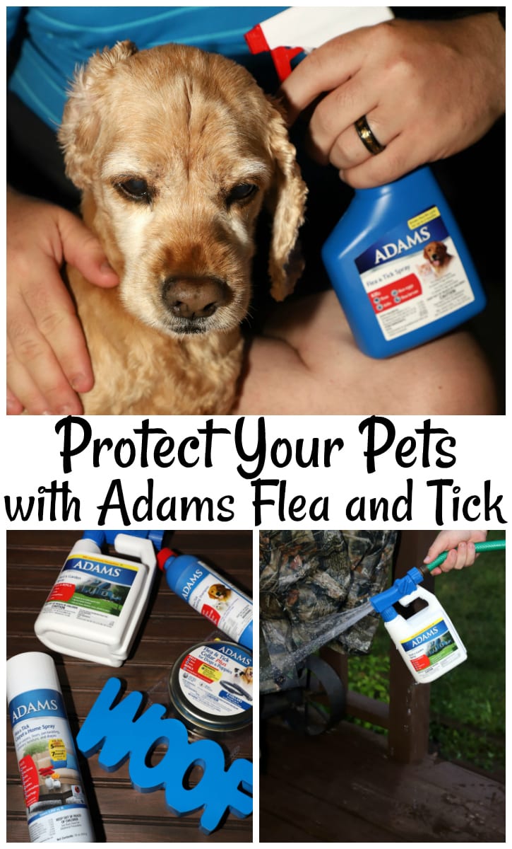 Adams Flea and Tick | Blueberry Banana Frozen Yogurt Dog Treats - For ...