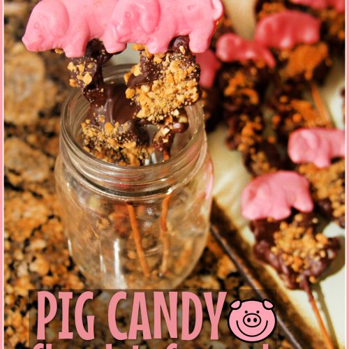 Pig Candy- Chocolate Covered Bacon Skewers - For the Love of Food