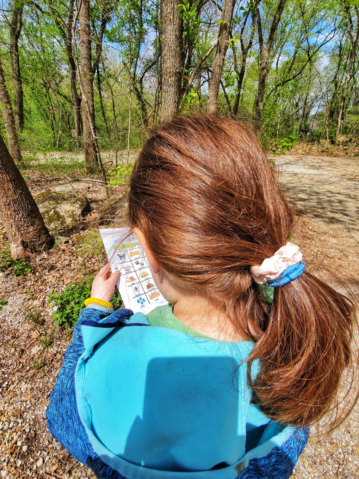 Springtime Nature Trail Scavenger Hunt | Exploring State Parks with ...