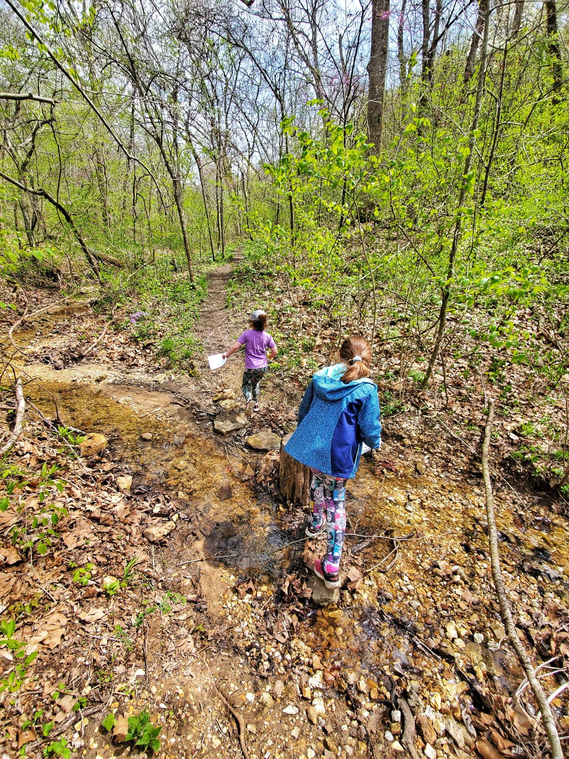 Springtime Nature Trail Scavenger Hunt | Exploring State Parks with ...