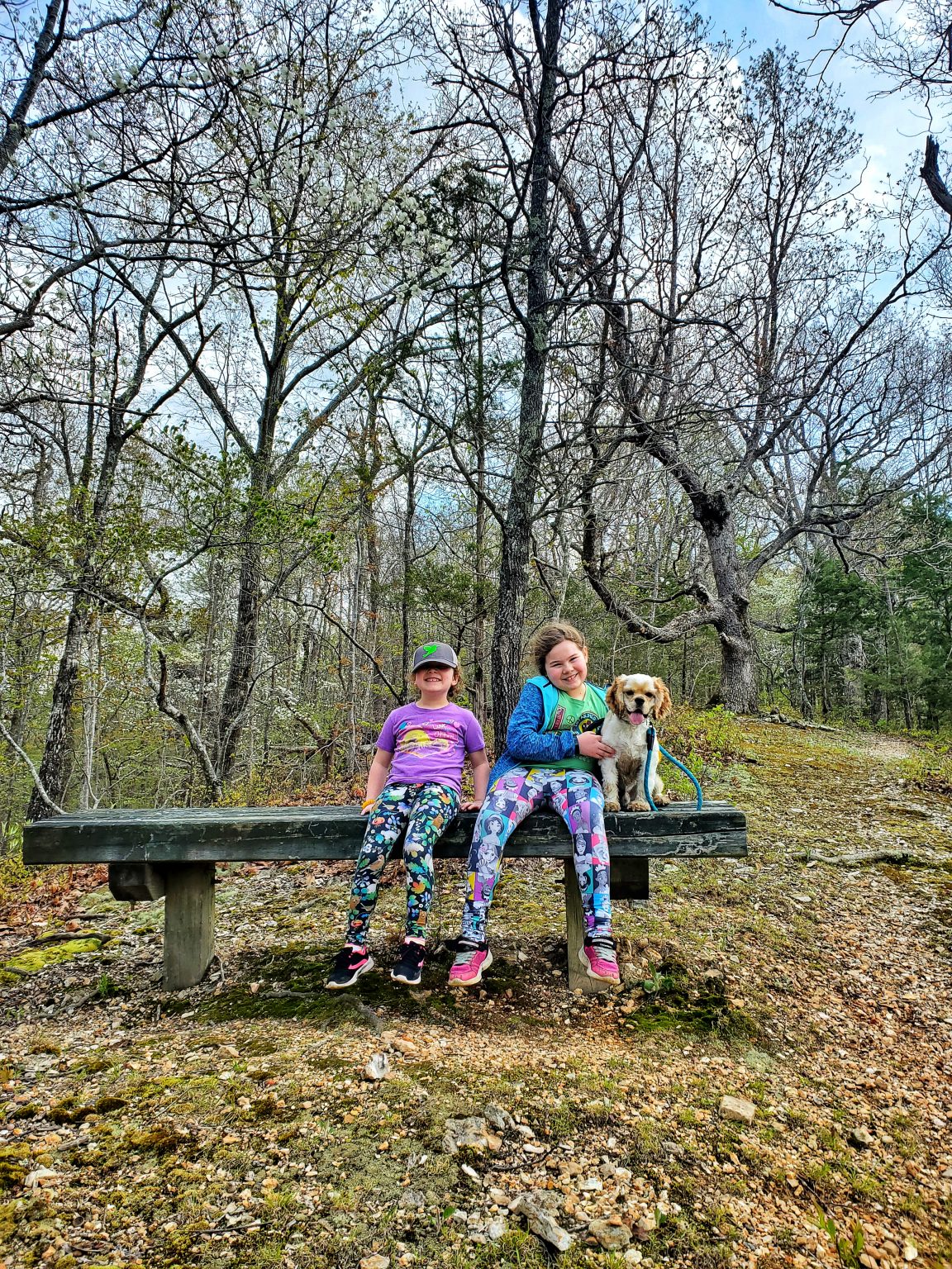 Springtime Nature Trail Scavenger Hunt | Exploring State Parks with ...