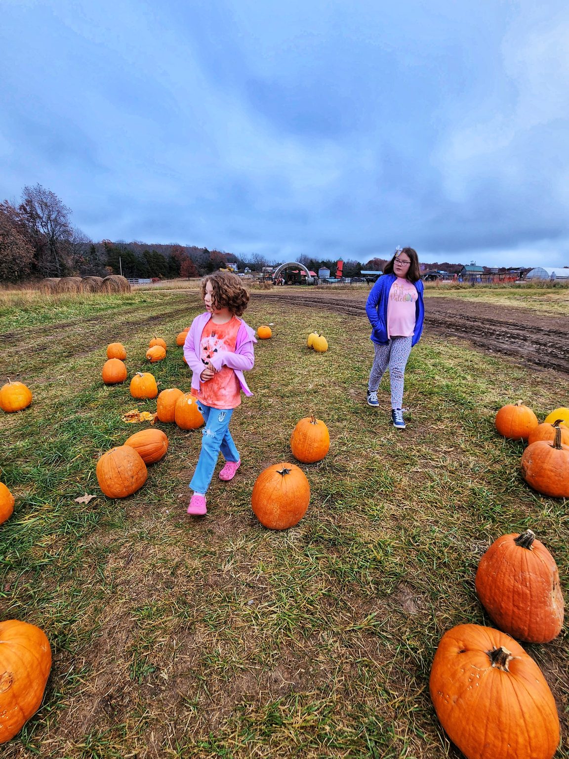 Pumpkin Patch Harvest Charcuterie Box - For the Love of Food