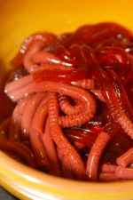 Halloween Slimy Worms- Gross Out Recipe! - For the Love of Food