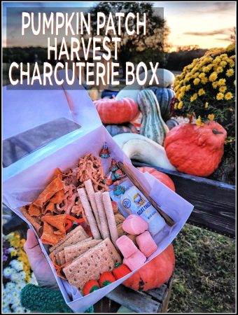 145+ Pumpkin Patch Inspired Recipes - For the Love of Food