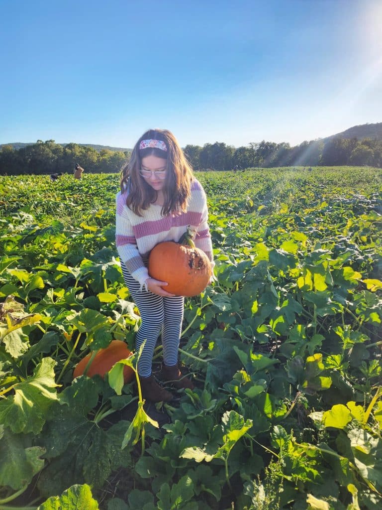 Fall Pumpkin Patch Scavenger Hunt - Free Printable! - For the Love of Food