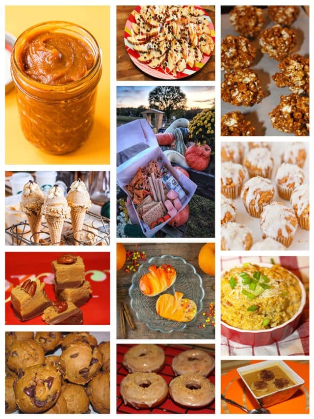 145+ Pumpkin Patch Inspired Recipes - For the Love of Food