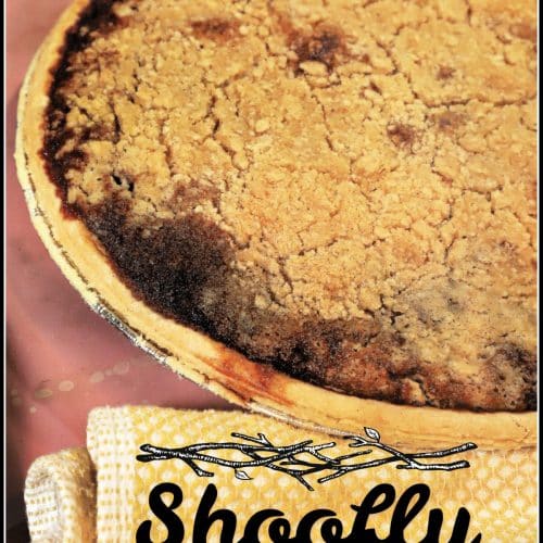 Vintage Molasses Shoofly Pie - For the Love of Food