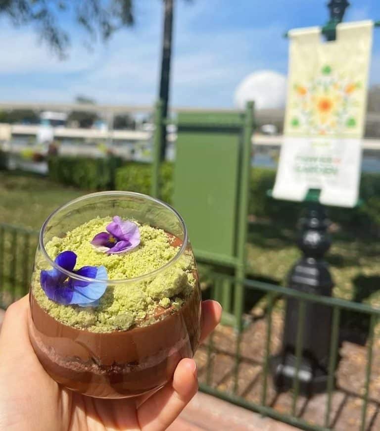 Springtime Chocolate Mousse Terrarium Dessert #SpringSweetsWeek - For ...