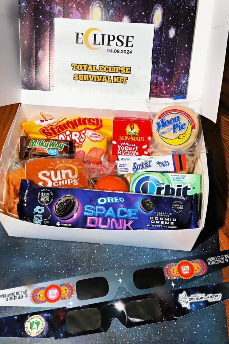 Total Eclipse Snack Box - For the Love of Food