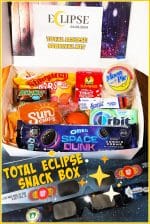 30+ Total Eclipse Epic Party Ideas - For the Love of Food