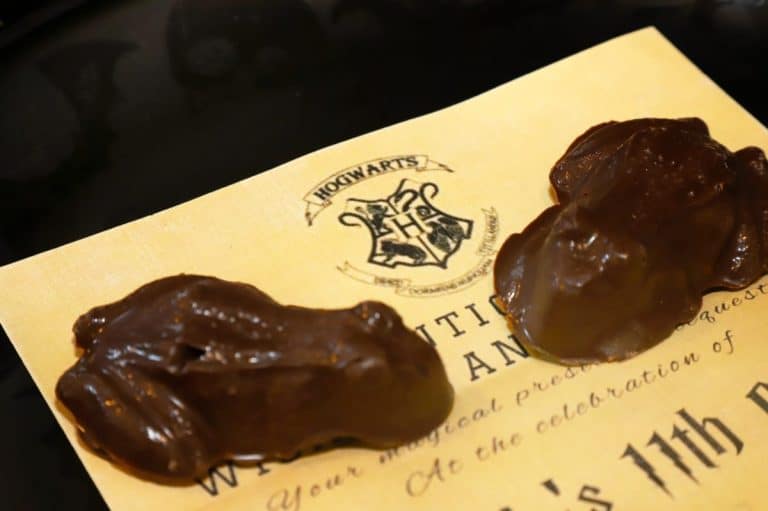 Hogwarts Magic Filled Chocolate Frogs - For the Love of Food