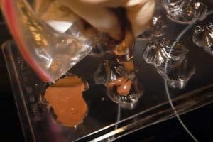 Hogwarts Magic Filled Chocolate Frogs - For the Love of Food