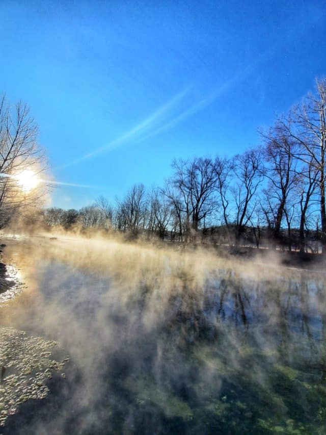 Photo A Day Challenge | Free Printable Checklists - For the Love of Food